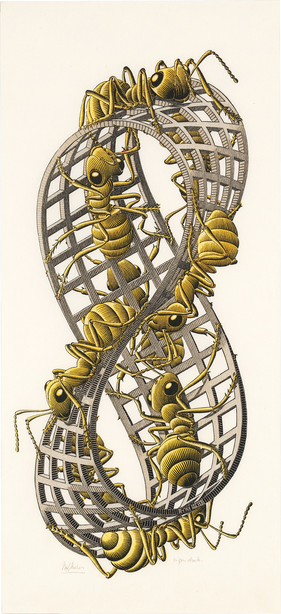 Moebius Strip II | Prints & Multiples Including Jasper Johns from the ...