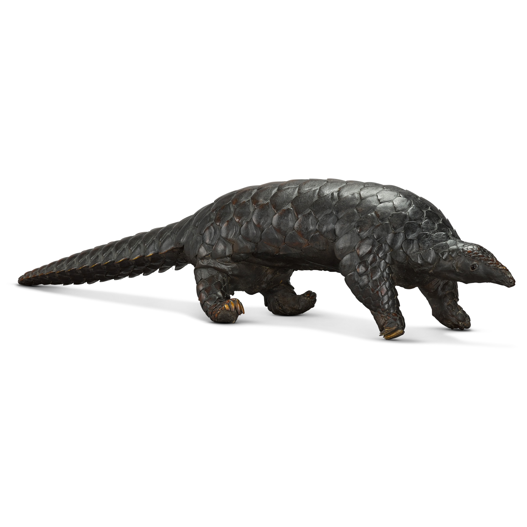 A rare Giant Pangolin (Smutsia gigantea), late 19th century | Emma ...