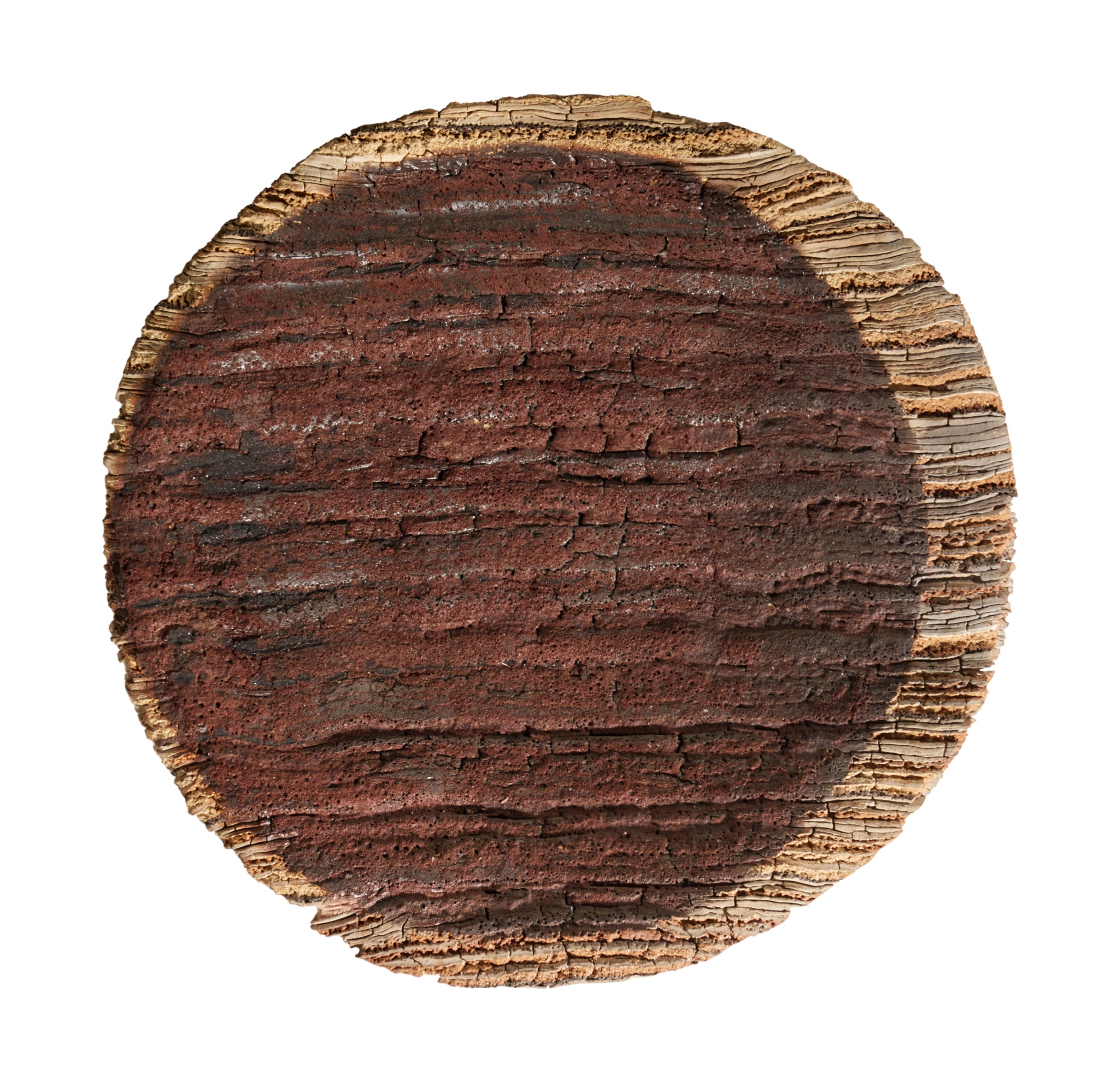 Large Wall Plate | Made in Britain | 2023 | Sotheby's