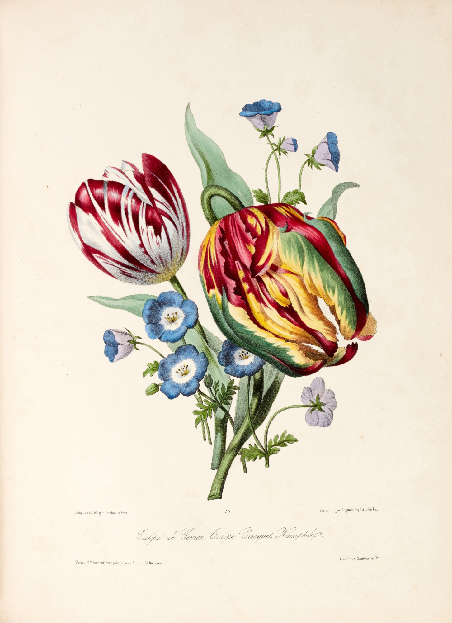 Grobon Frères | Nouvelle collection de bouquets, Paris, [c.1850], green ...