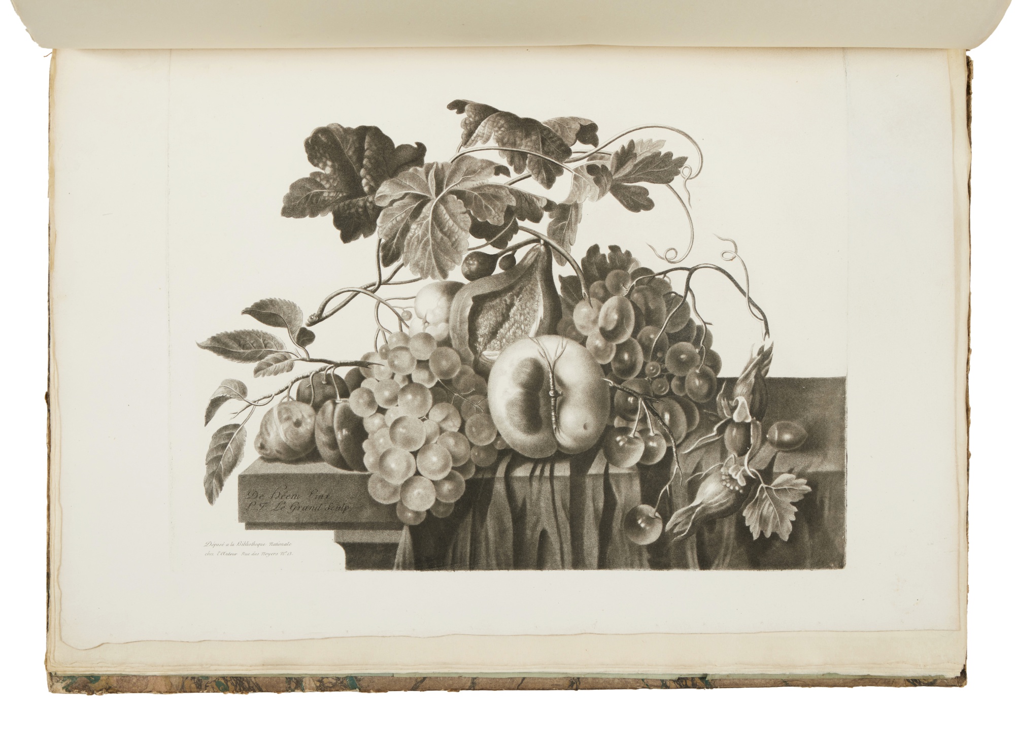 Spaendonck, Gerard Van | "magnificent drawings, brilliantly interpreted ...