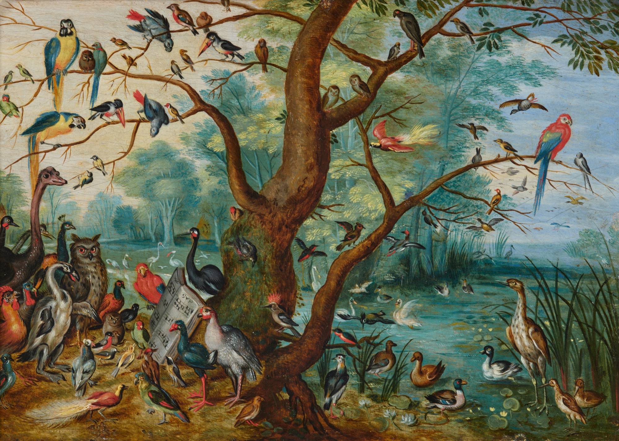 A concert of birds, or an Allegory of Sound | Das Vogelkonzert, oder ...